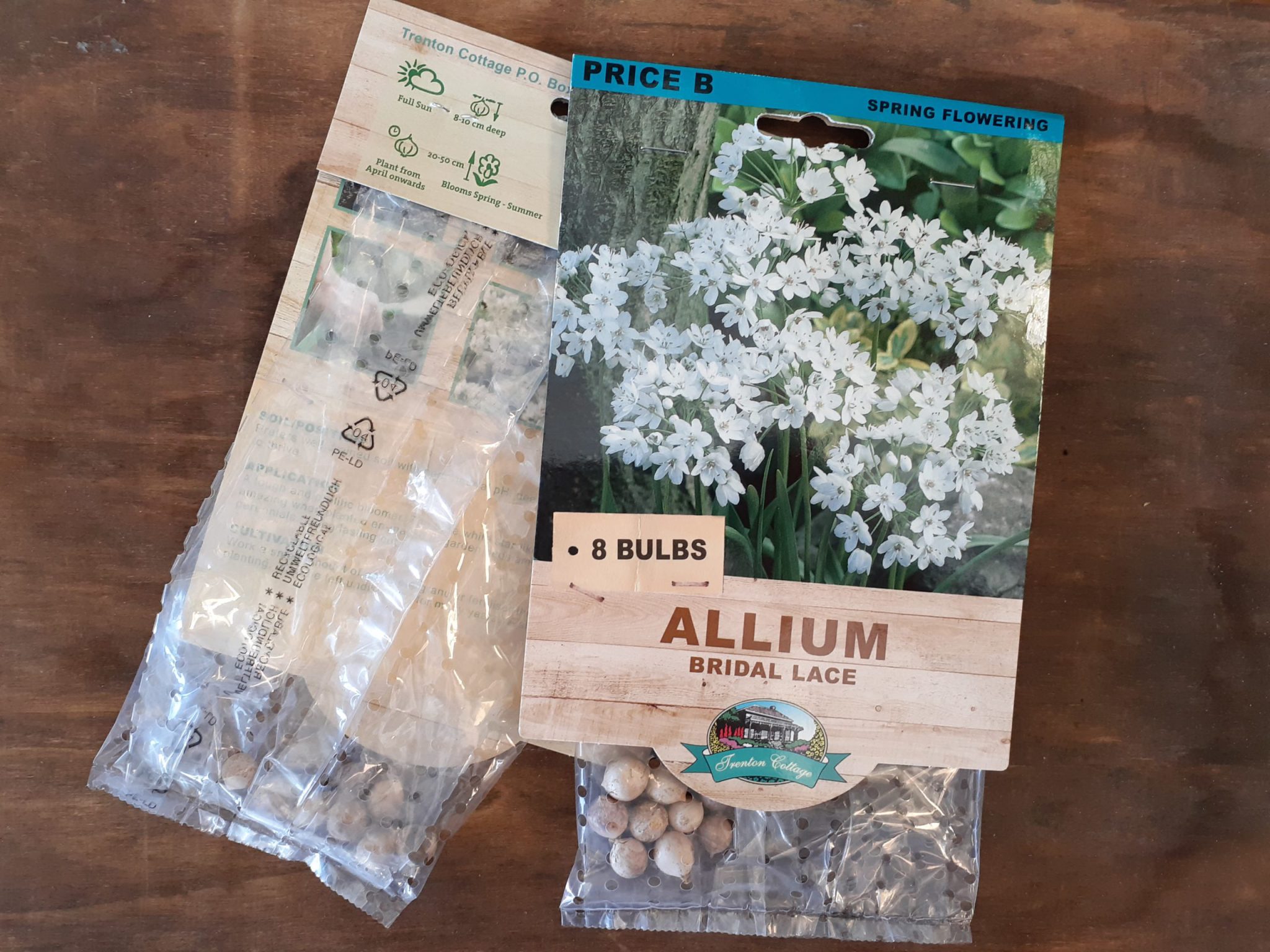 Allium - Bridal Lace - Bulbs - Guildford Garden Centre