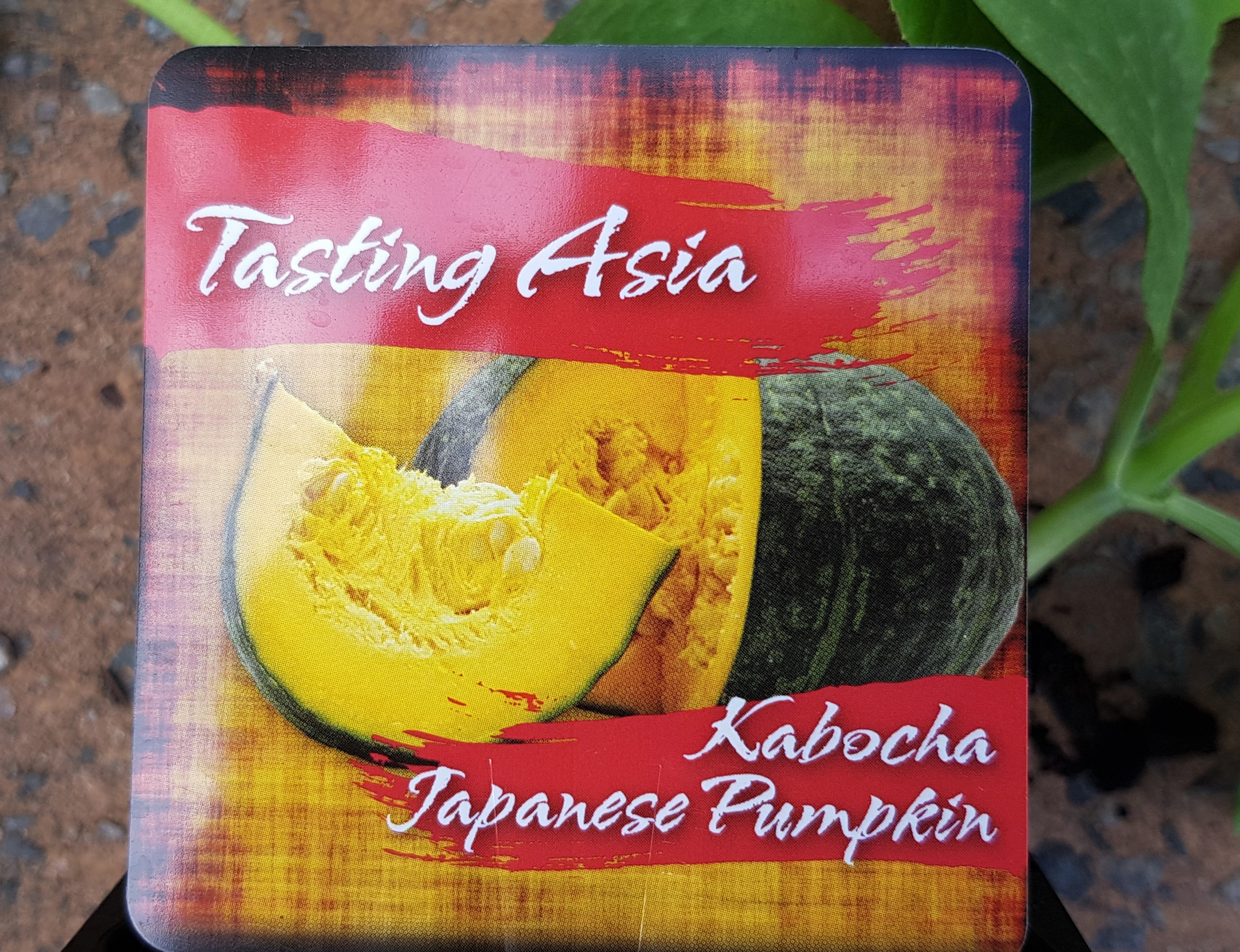 Pumpkin - Japanese Kabocha - Tasting Asia - Perth, WA - Garden Centre