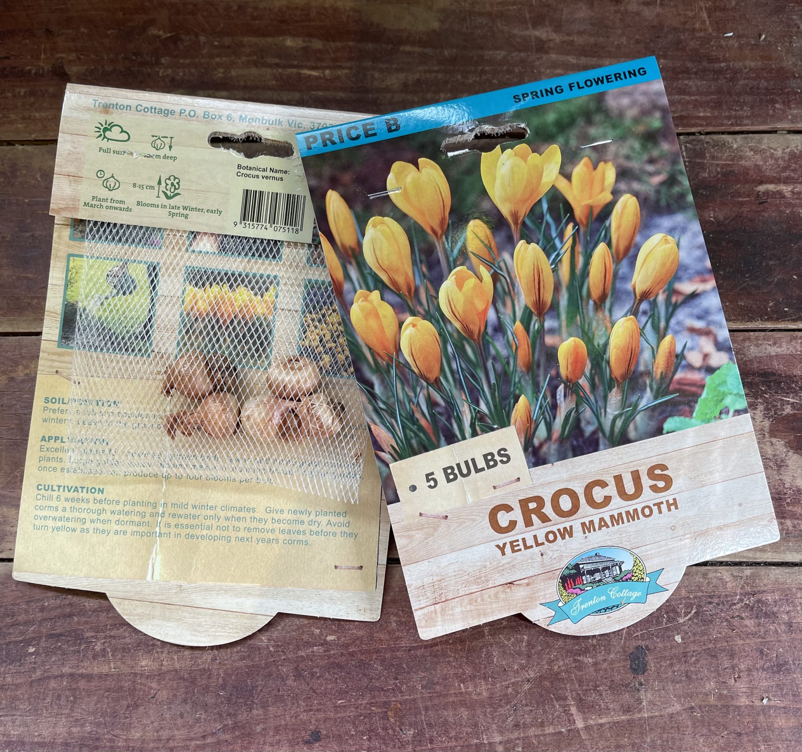 Crocus - Yellow Mammoth - Bulbs - Guildford Garden Centre