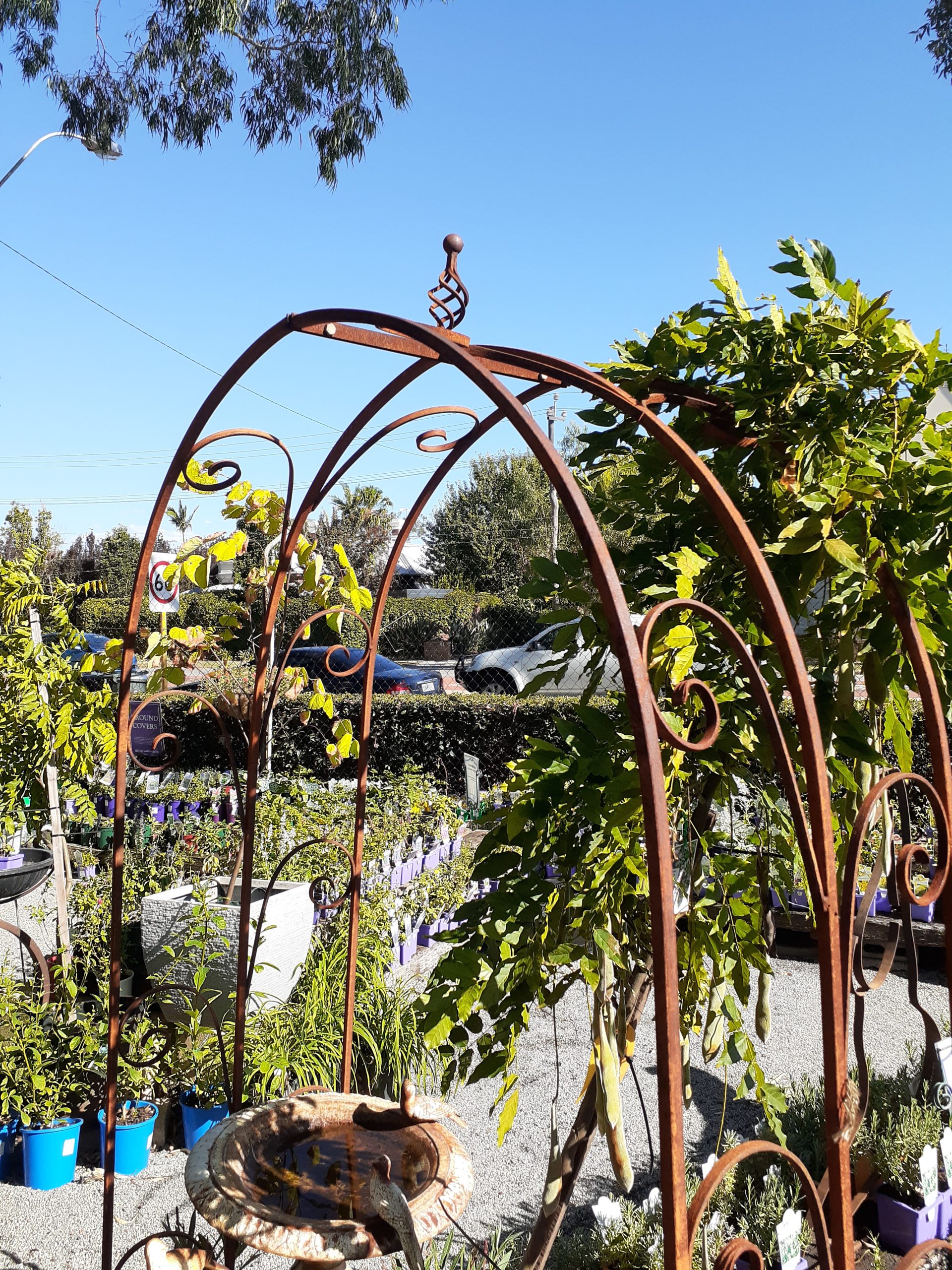 Garden Arch - Rust - Tubular Steel - Guildford Garden Centre