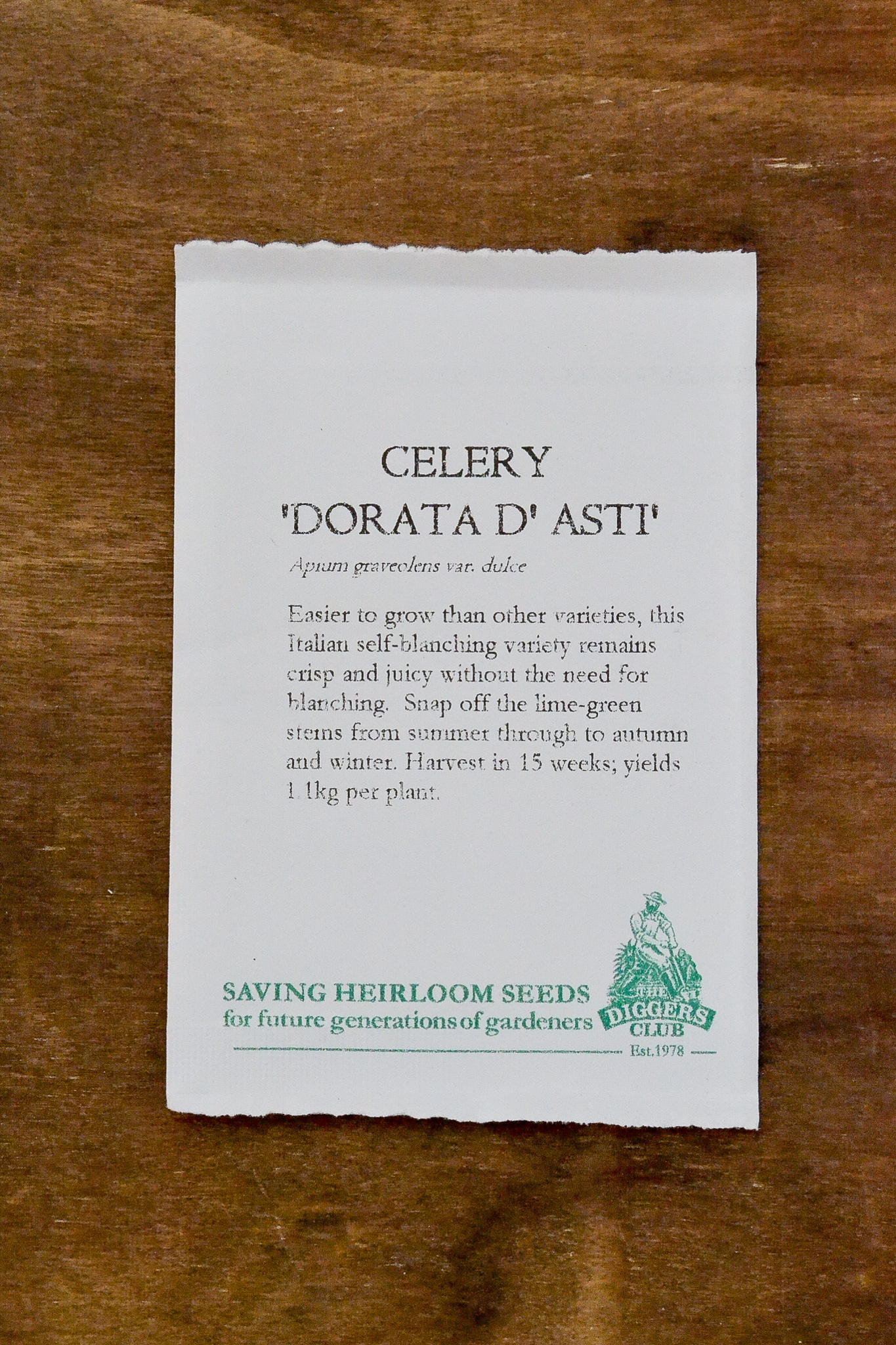 Celery - Dorata D'Asti - Diggers Seeds - Guildford Garden Centre