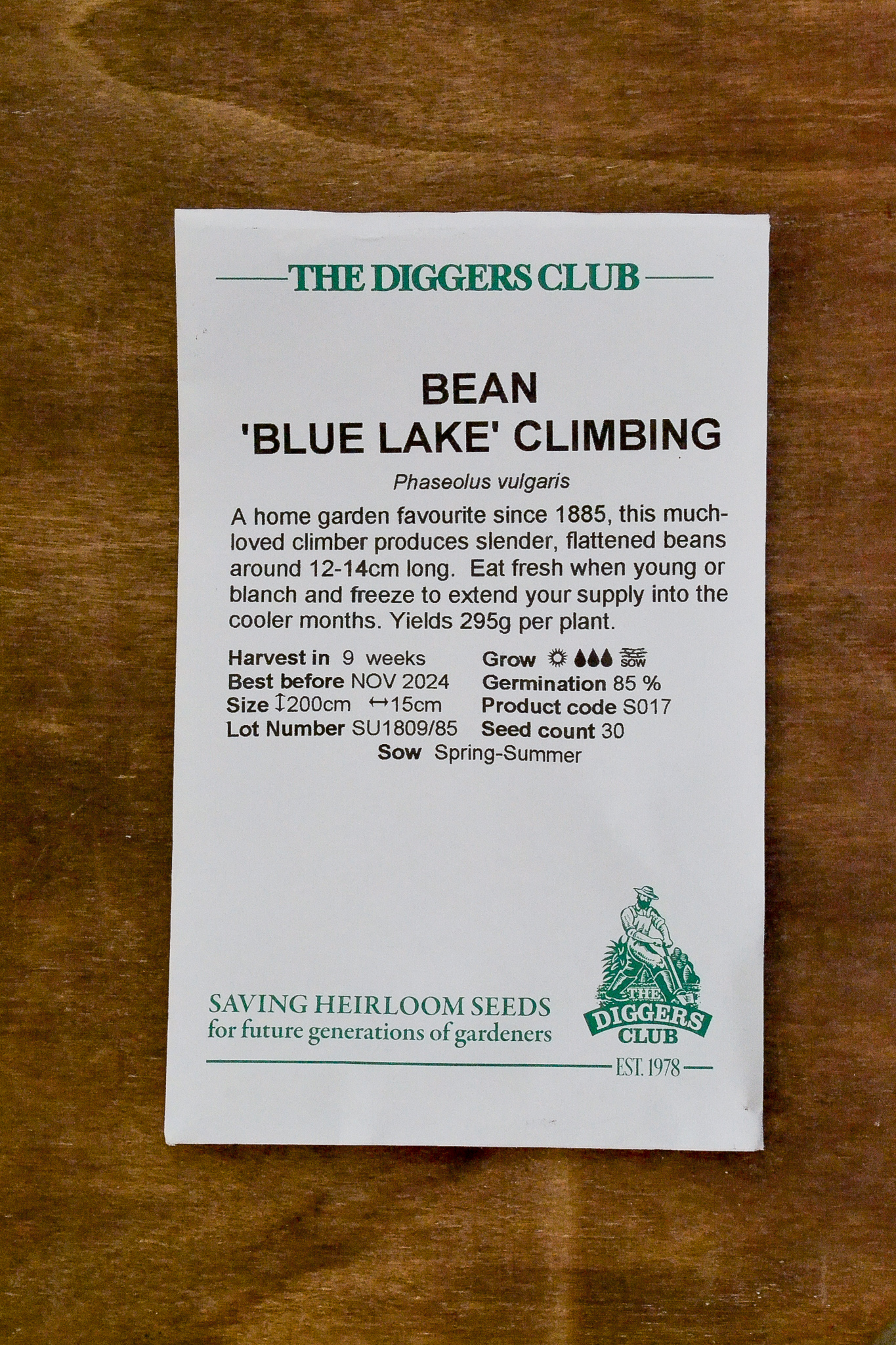 Bean - Blue Lake Climbing - Diggers Seeds - Guildford Garden Centre