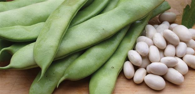 Bean - Italian Romano - Diggers Seeds - Guildford Garden Centre