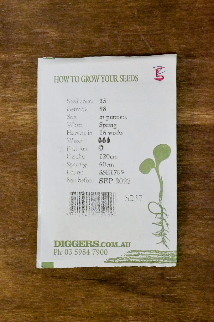 Tomato - Wapsipinicon Peach - Diggers Seeds - Guildford Garden Centre