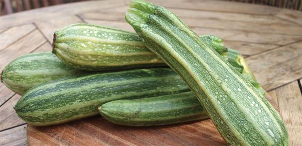 Zucchini - Costata Romanesco - Diggers Seeds - Guildford Garden Centre