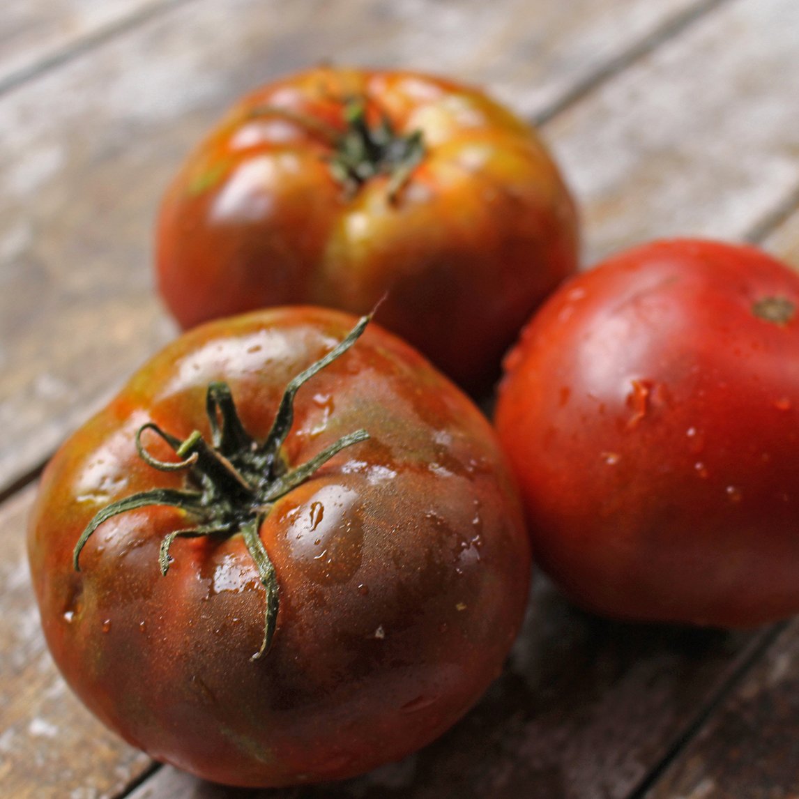 Tomato - Tasmanian Chocolate - Diggers Seeds - Guildford Garden Centre
