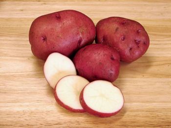 Seed Potato - Norland - Guildford Garden Centre