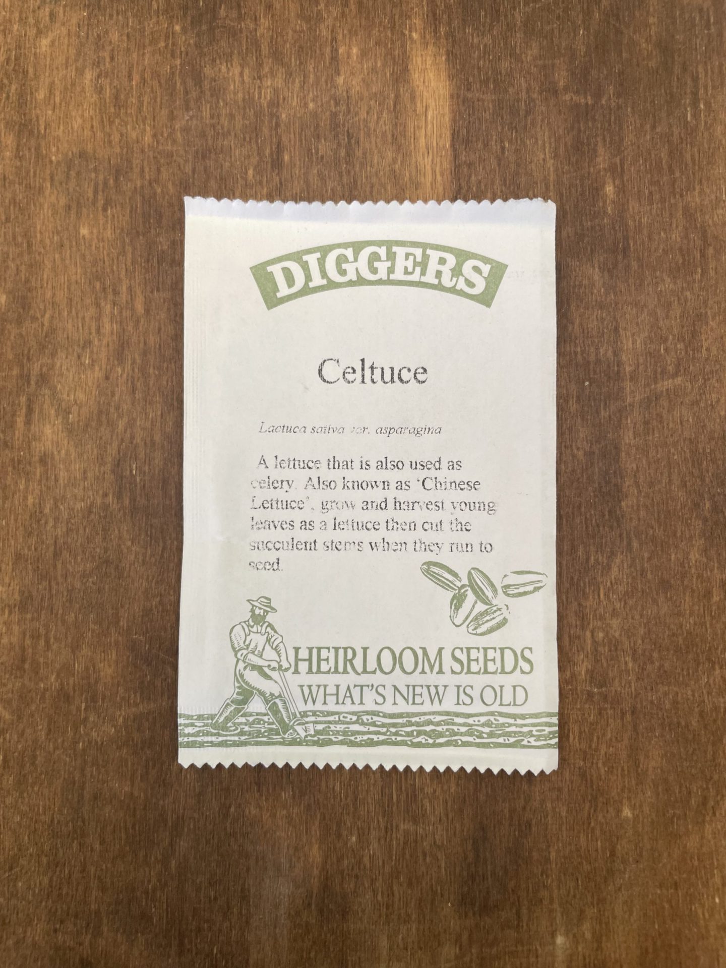 Celtuce - Diggers Seeds - Guildford Garden Centre