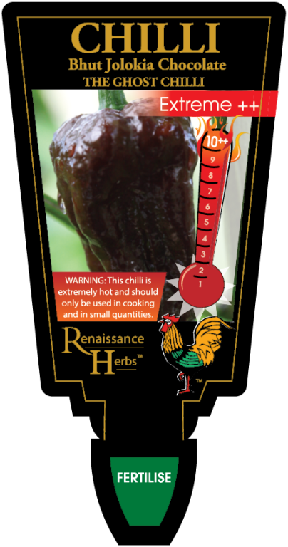 Chilli - Bhut Jolokia - The Ghost Chilli - Chocolate - Renaissance ...