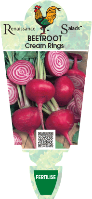 Beetroot - Cream Rings - Renaissance Herbs - Perth, WA - Garden Centre