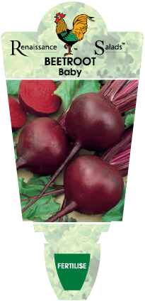 Beetroot - Baby - Renaissance Herbs - Guildford Garden Centre