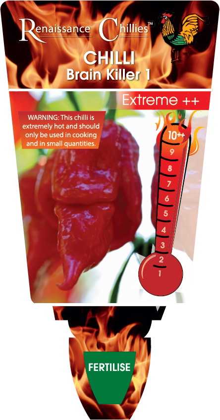 Chilli - Brain Killer 1 - Renaissance Herbs - Perth, WA - Garden Centre