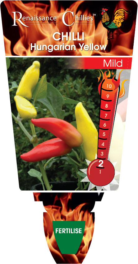 Chilli - Hungarian - Yellow - Renaissance Herbs - Perth WA, Garden Centre