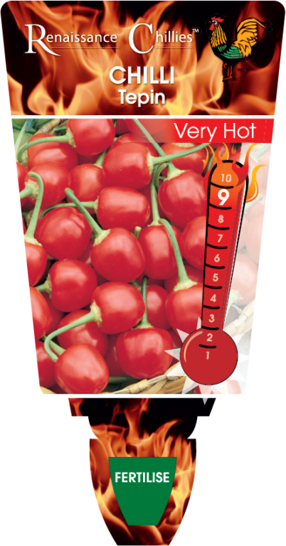 Chilli - Tepin - Renaissance Herbs - Guildford Garden Centre