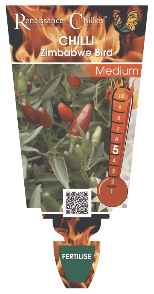 Chilli - Zimbabwe Bird - Renaissance Herbs - Perth, WA - Garden Centre