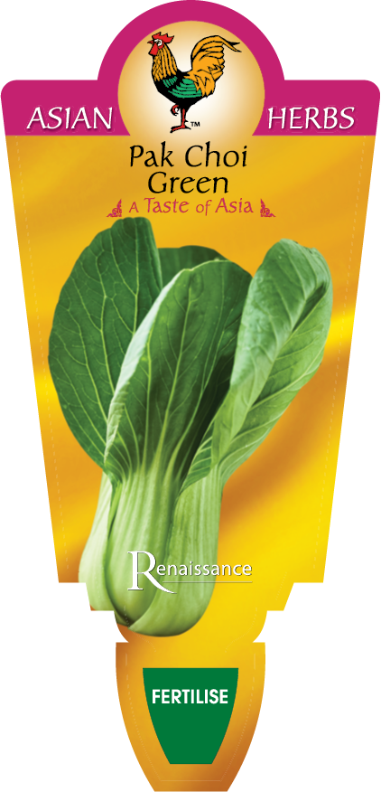 Pak Choi - Green - Renaissance Herbs - Perth, WA - Garden Centre