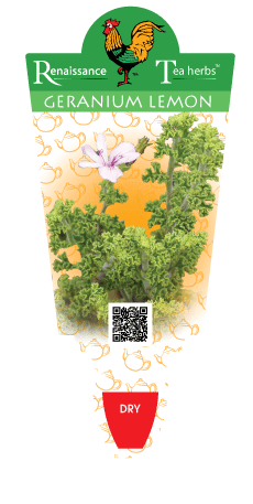 Geranium - Lemon - Renaissance Herbs - Perth, WA - Garden Centre