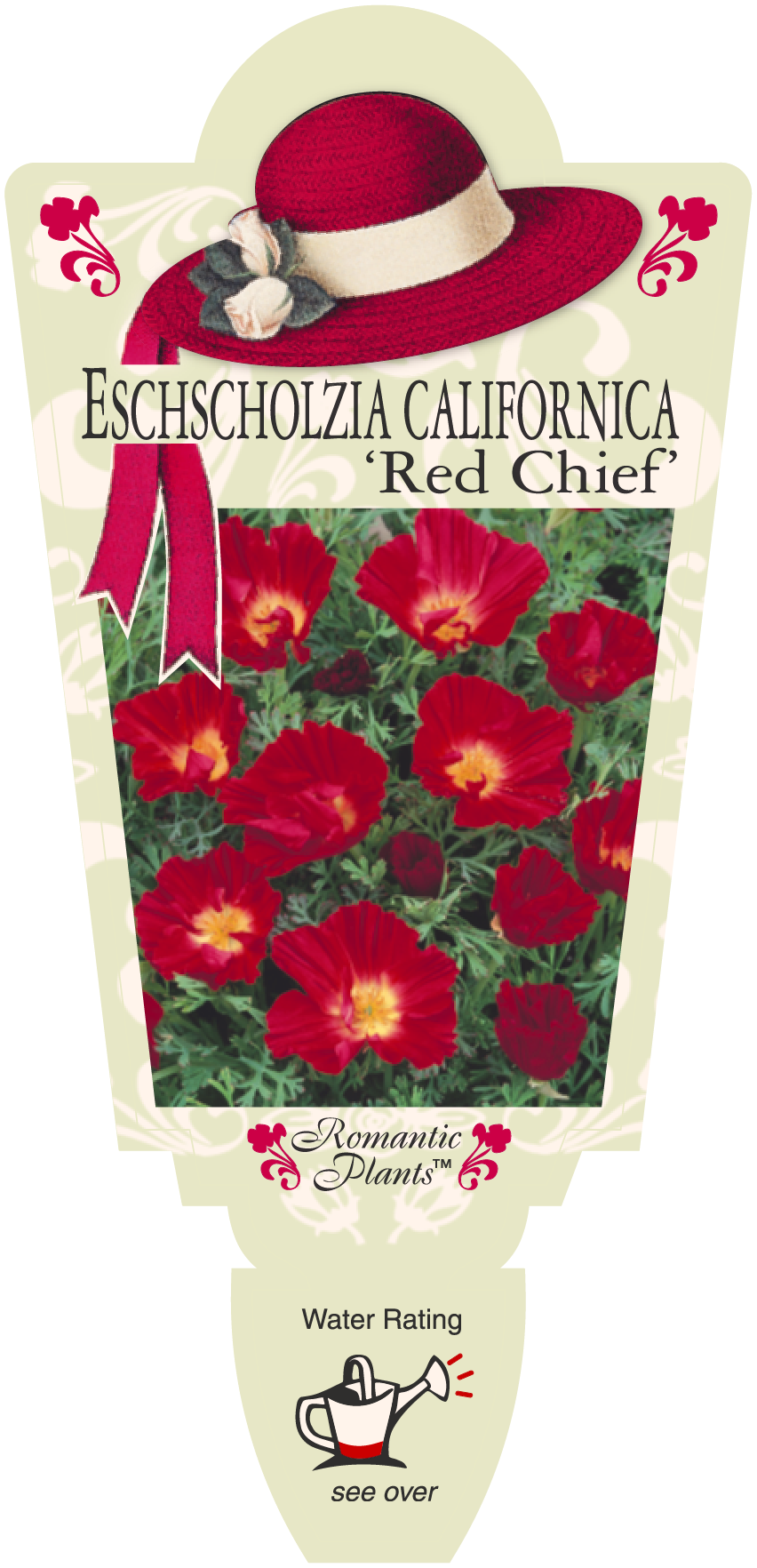 Eschscholzia - Red Chief - Romantic Plants - Perth, WA - Garden Centre