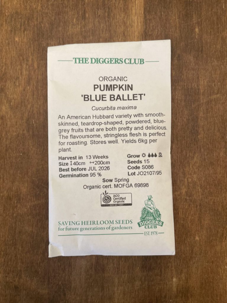 Pumpkin - Blue Ballet - Diggers Seeds - Guildford Garden Centre