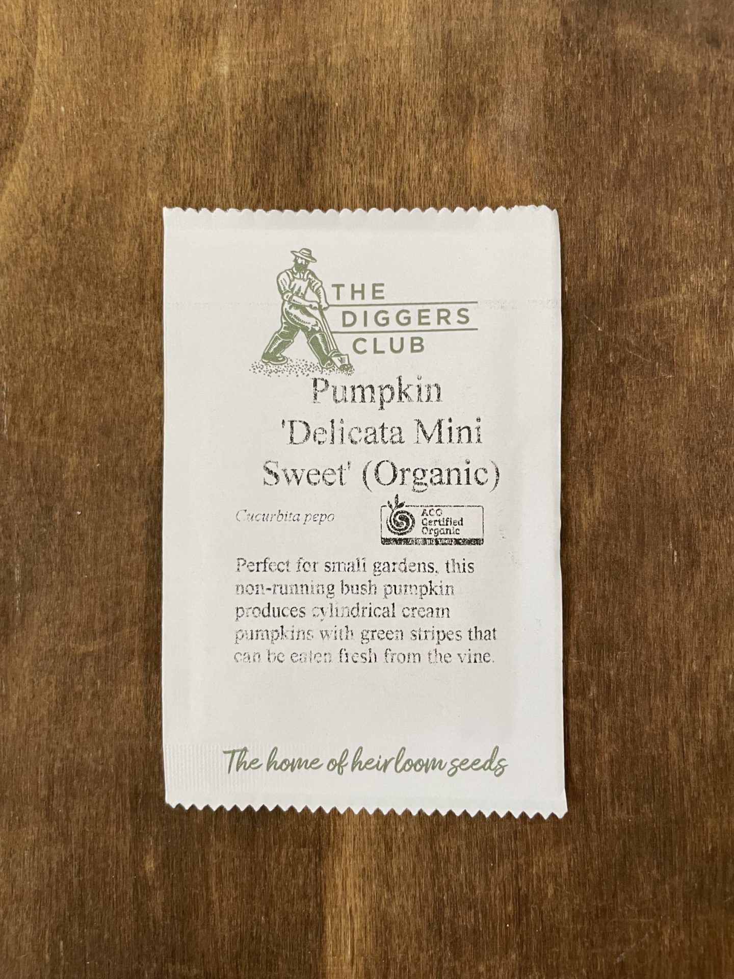 Pumpkin - Delicata Mini Sweet - Diggers Seeds - Guildford Garden Centre