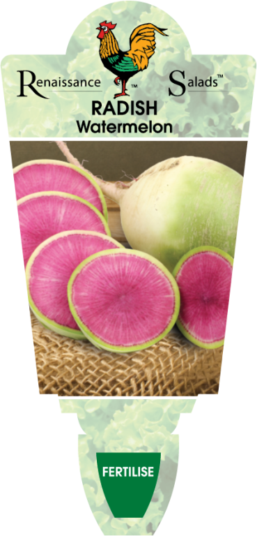 Radish - Watermelon - Renaissance Herbs - Perth, WA - Garden Centre