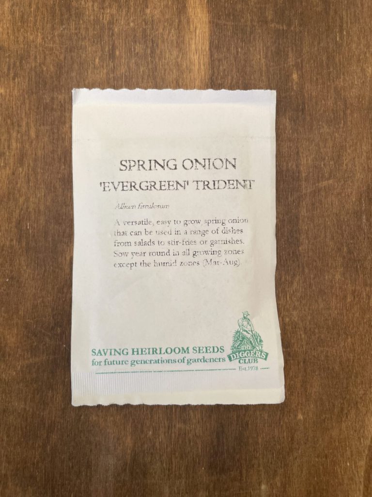 Spring Onion - Evergreen Trident - Diggers Seeds - Guildford Garden Centre