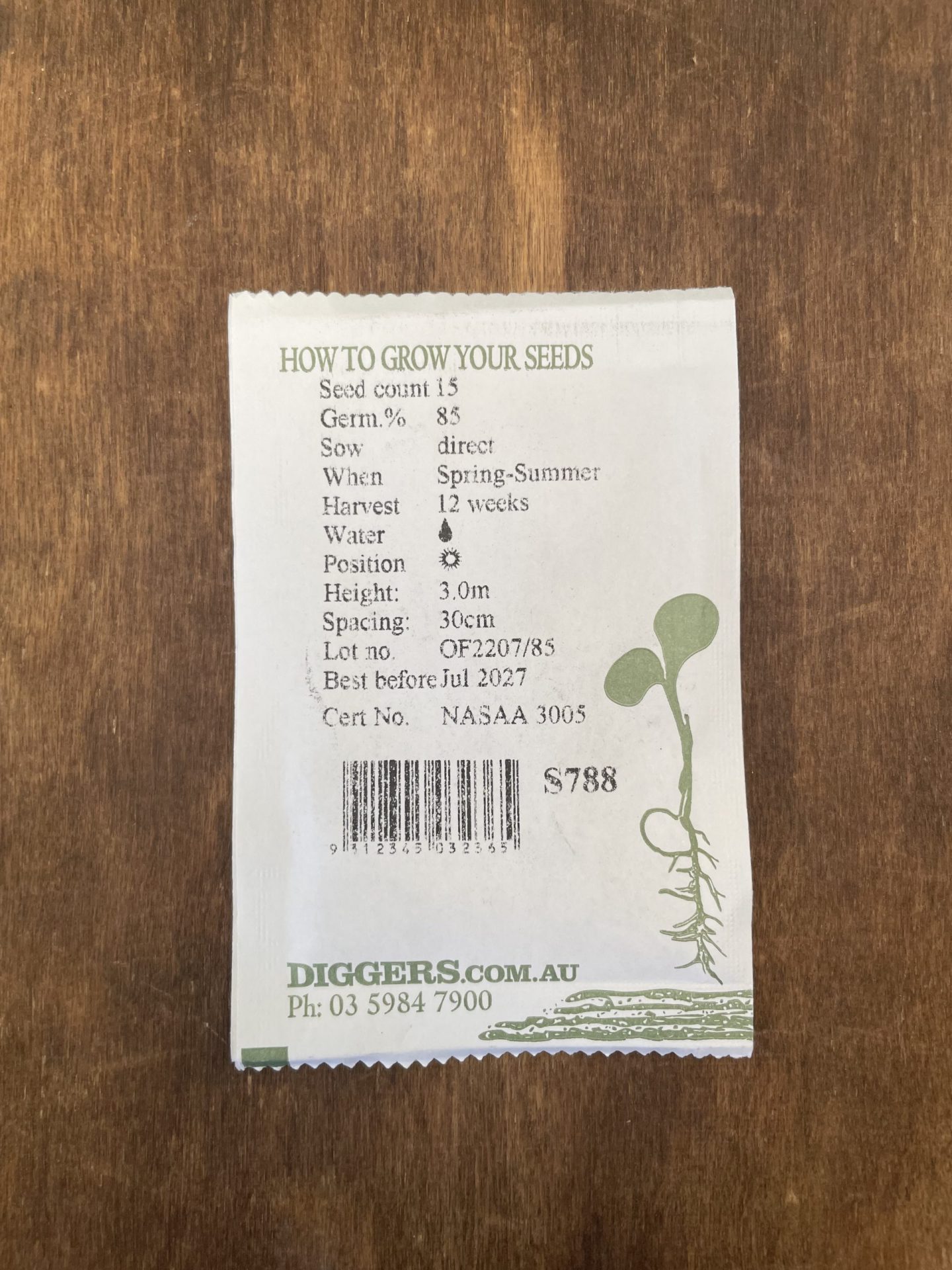 Sunflower - Giant Russian - Diggers Seeds - Guildford Garden Centre