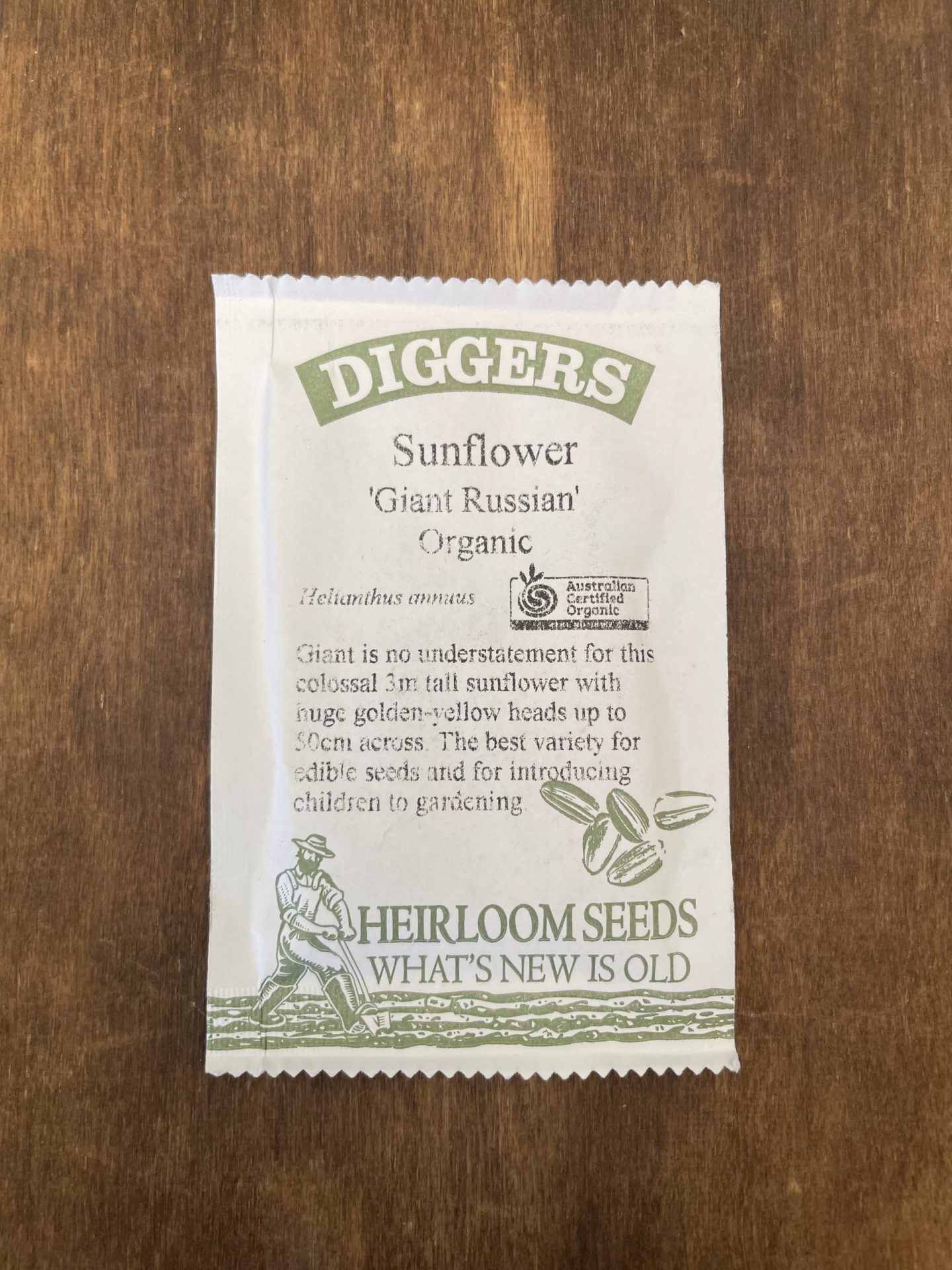 Sunflower - Giant Russian - Diggers Seeds - Guildford Garden Centre