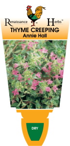 Thyme - Creeping - Annie Hall - Renaissance Herbs - Perth Garden Centre