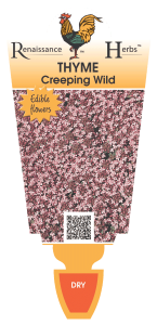 Thyme - Creeping - Wild - Renaissance Herbs - Perth Garden Centre