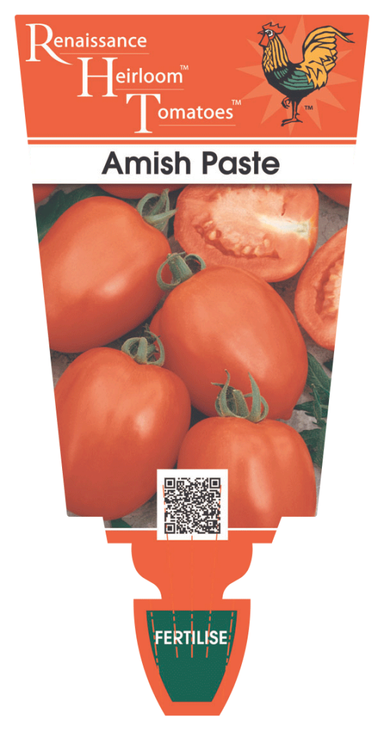 Tomato - Amish Paste - Renaissance Heirloom Tomatoes - Garden Centre