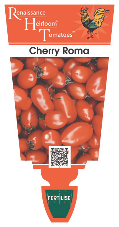 Tomato - Cherry - Roma - Renaissance Heirloom Tomatoes - Garden Centre