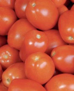 Tomato - Roma - Metro Gardener - Guildford Garden Centre