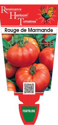 Tomato - Rouge de Marmande - Renaissance Heirloom Tomatoes - Perth ...