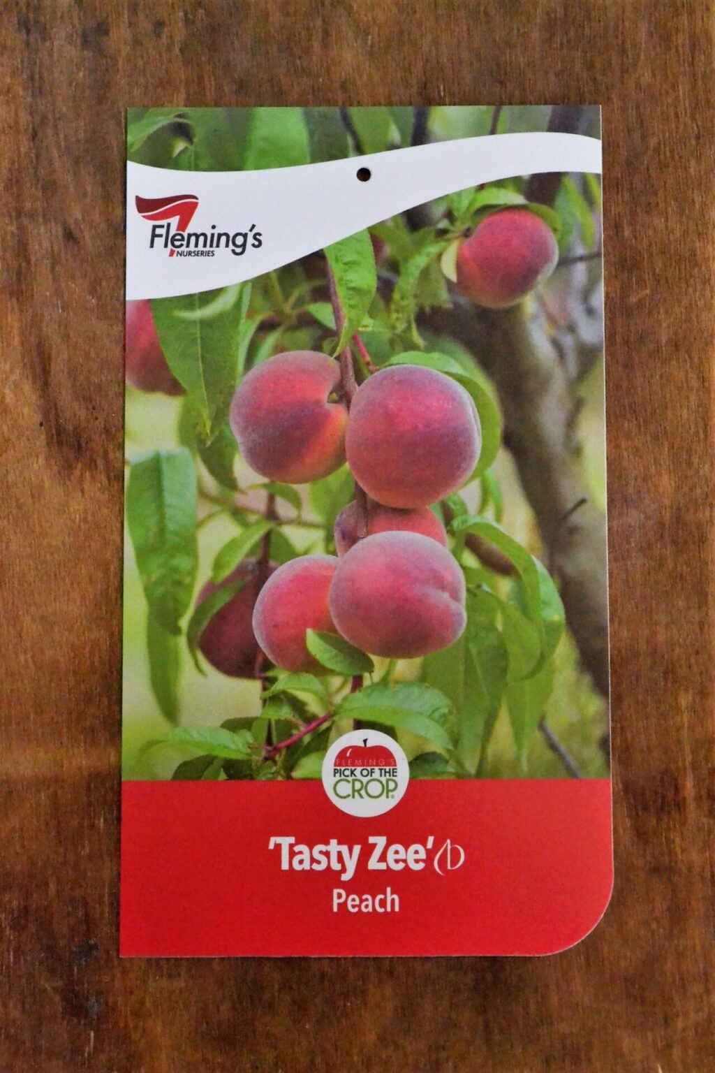 Peach - Tasty Zee - Guildford Garden Centre