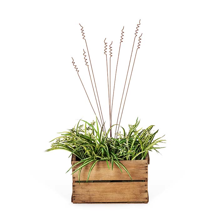 Garden Ornament Stake - Grass Spray Rust - Metal - Guildford Garden Centre