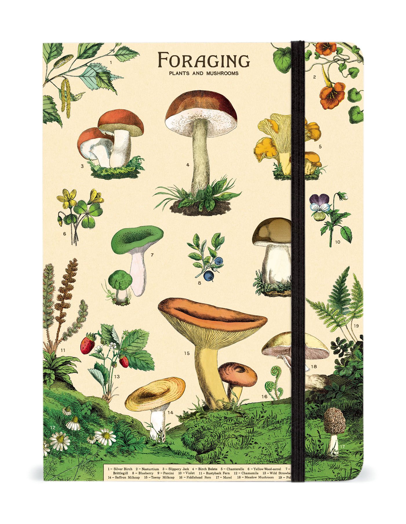 Notebook – Foraging - Large - Guildford Garden Centre
