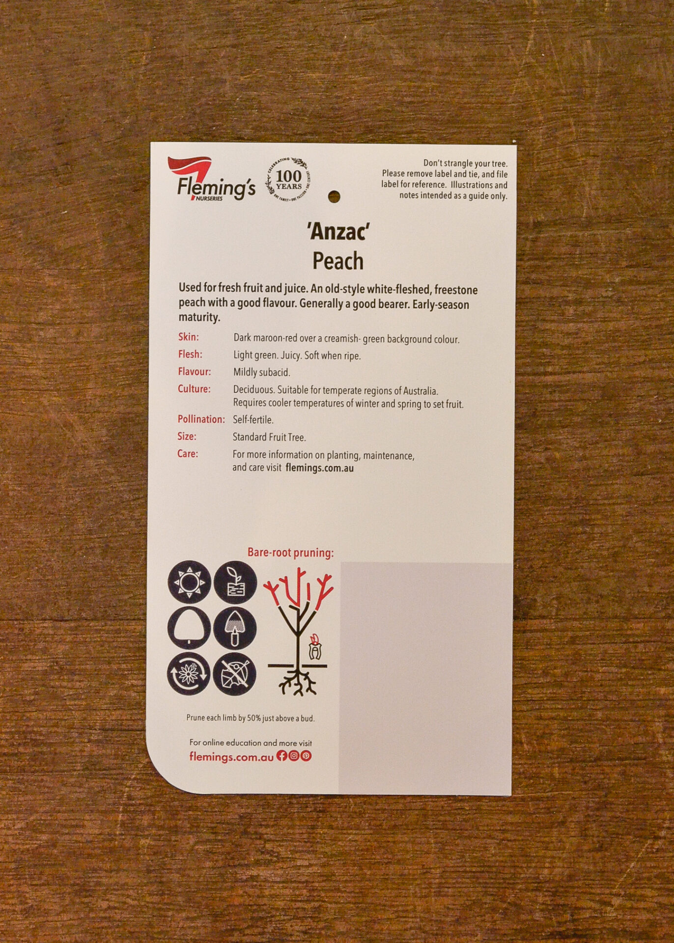 Peach - Anzac - Guildford Garden Centre