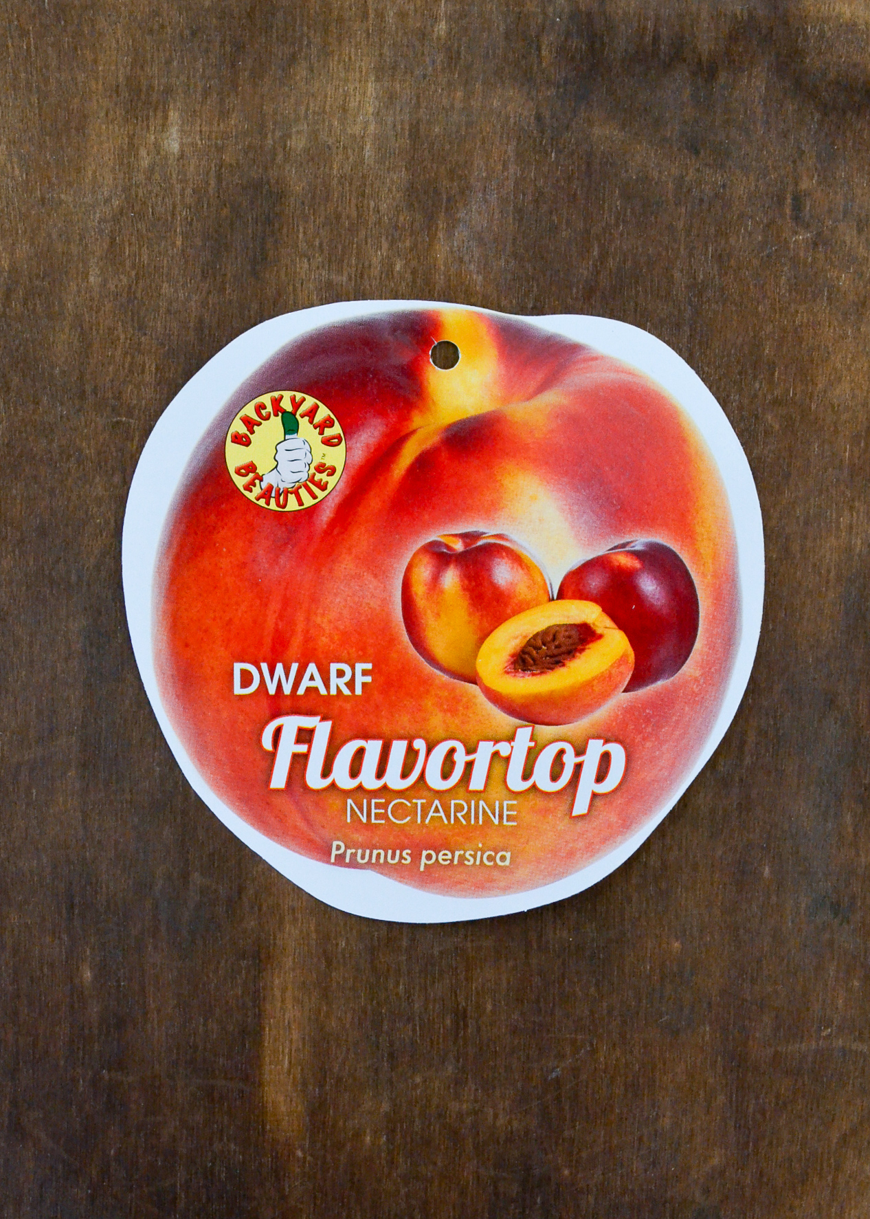 Nectarine - Flavortop Dwarf - Guildford Garden Centre