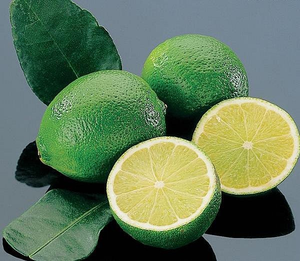 Lime - Tahitian - Dwarf - Guildford Garden Centre