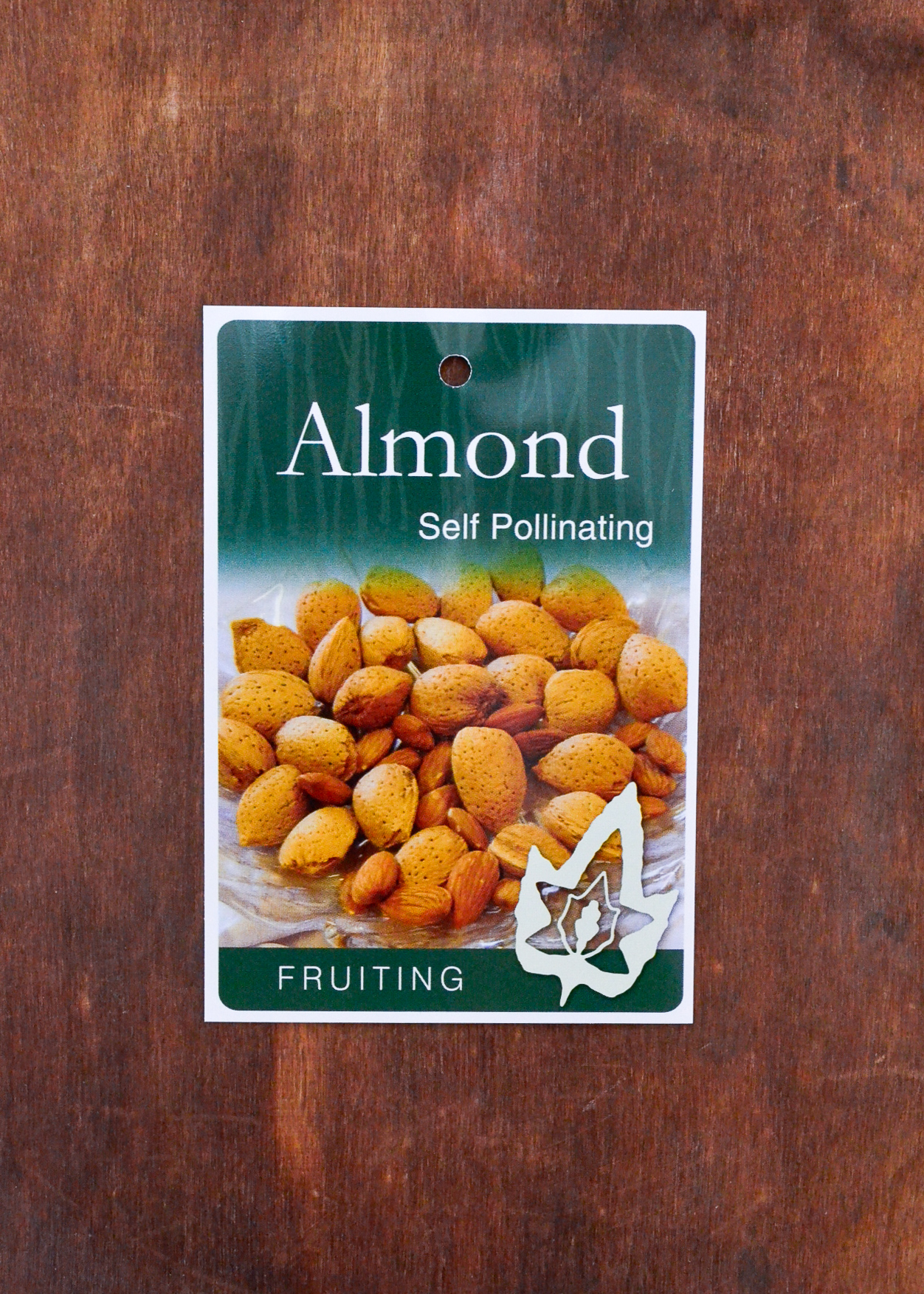 Almond - Self Pollinating Paper Shell - Guildford Garden Centre