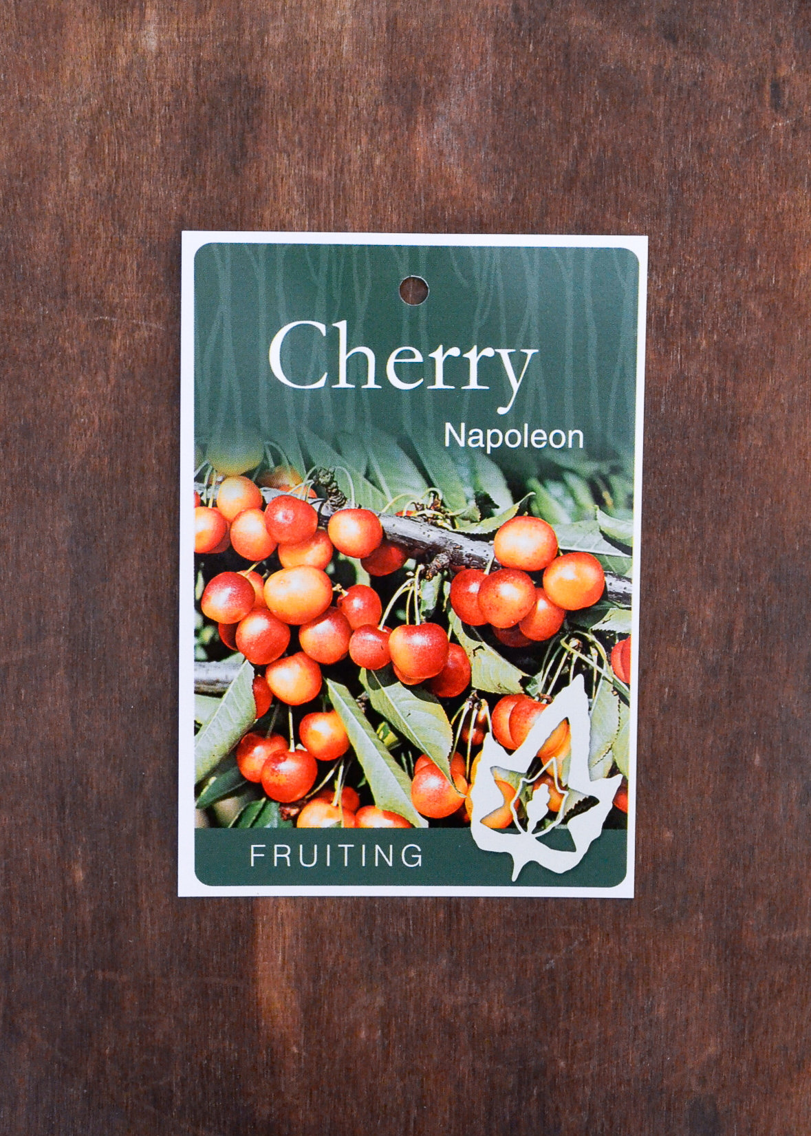 Cherry - Napoleon - Guildford Garden Centre