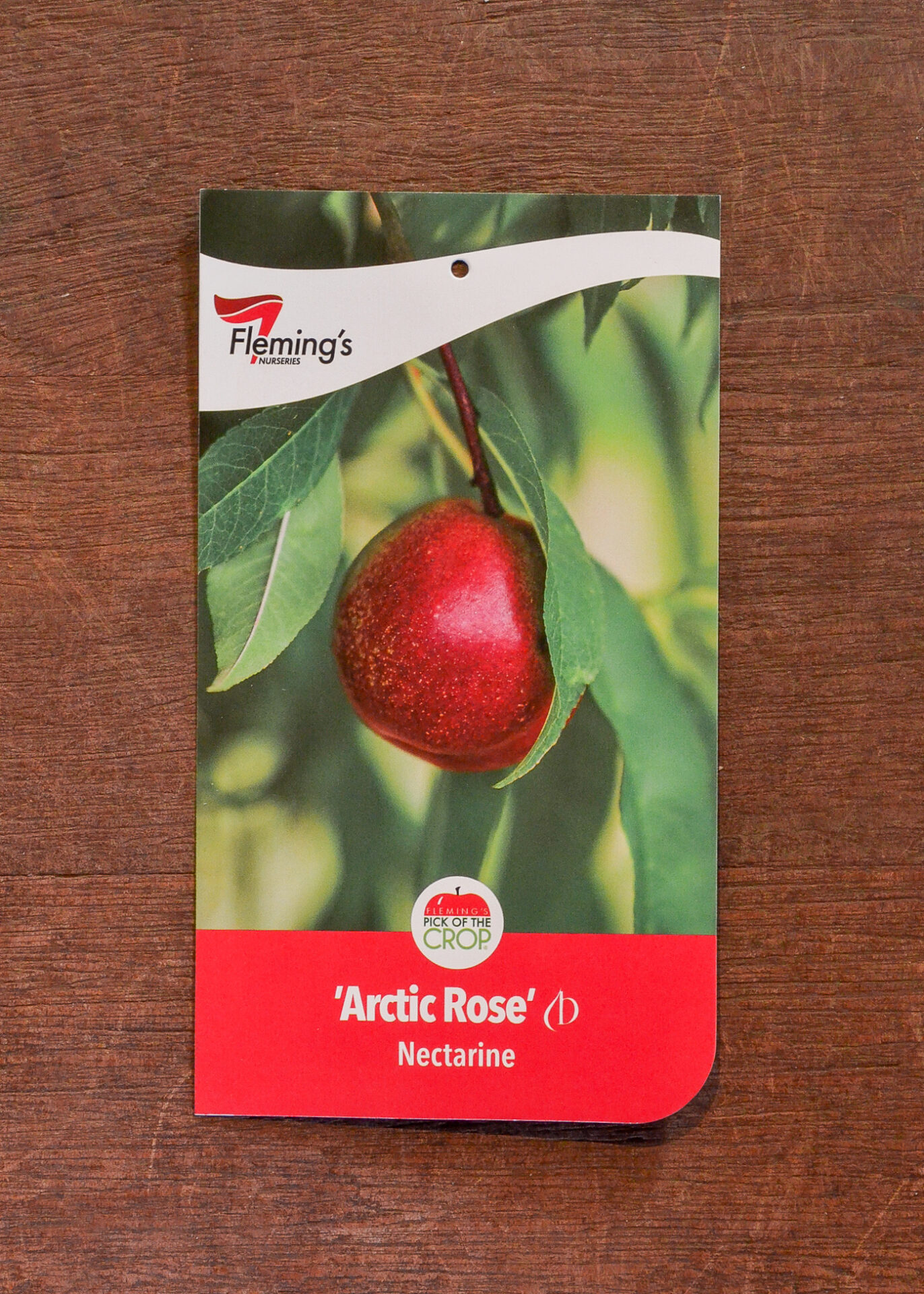 Nectarine - Arctic Rose - Guildford Garden Centre
