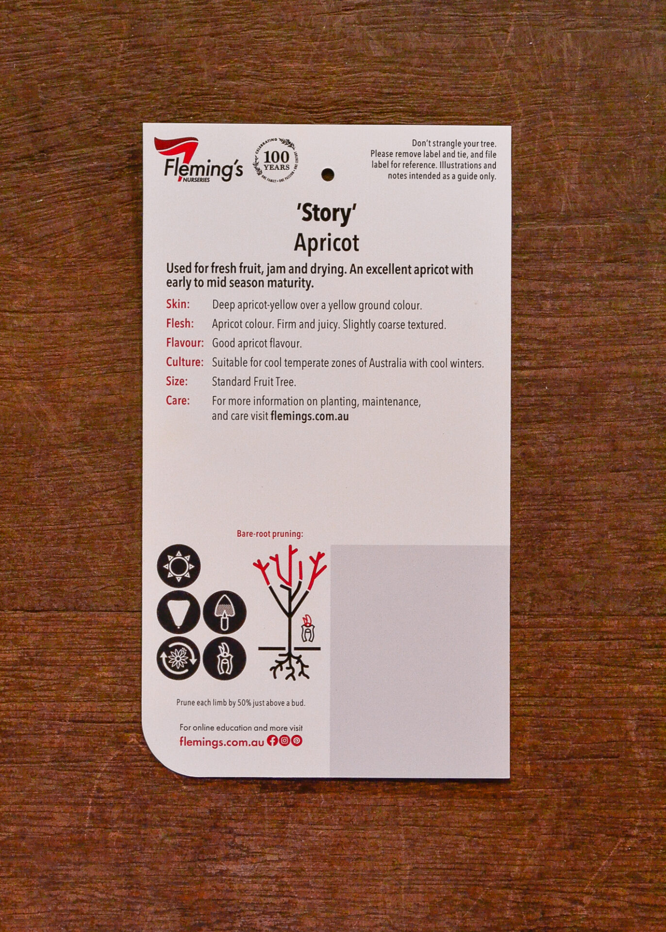 Apricot - Story (Storey) - Guildford Garden Centre