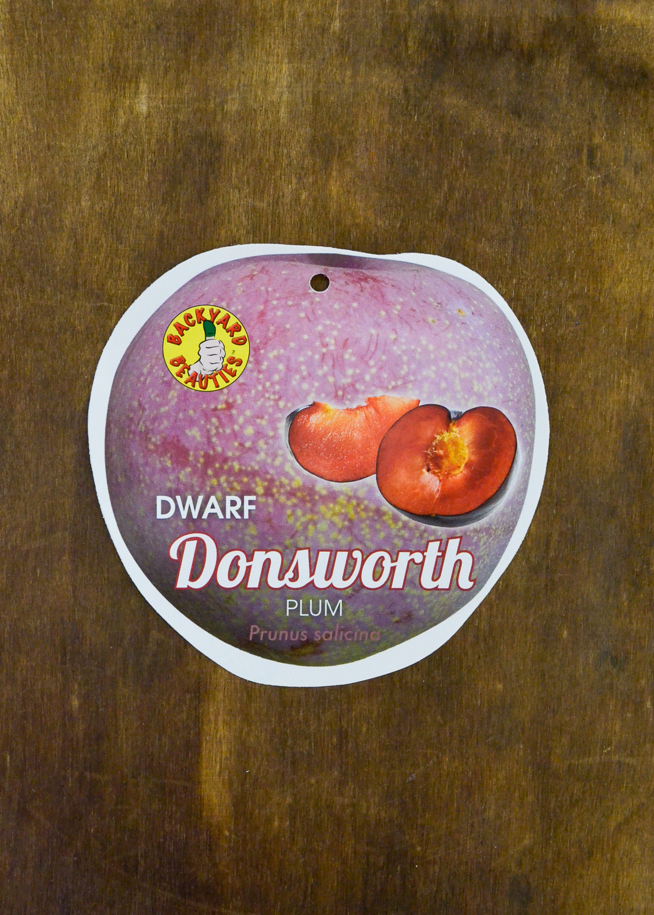 Plum - Donsworth Dwarf - Guildford Garden Centre