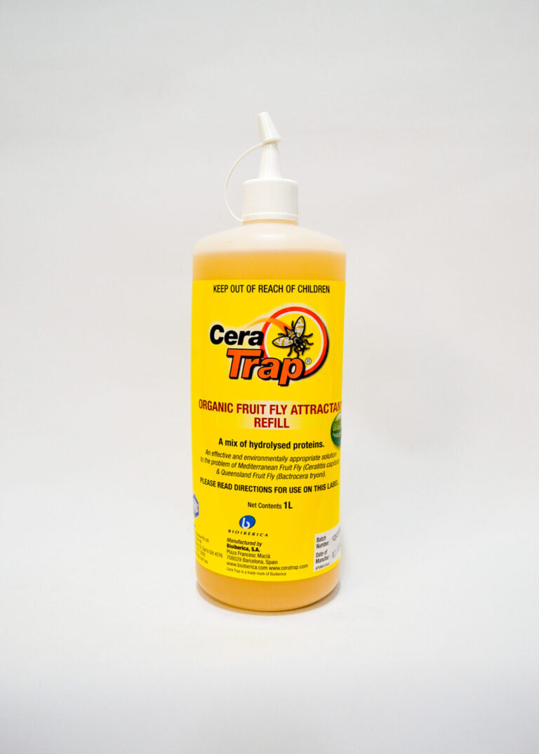 Fruit Fly Trap - Cera Trap - Guildford Garden Centre