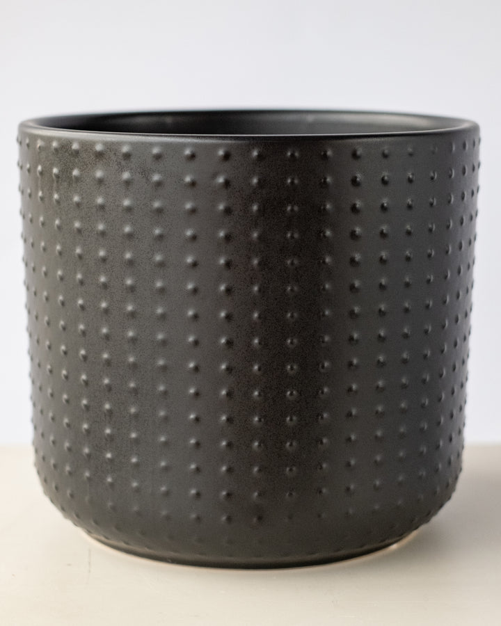 Pot - Dot Black - Ceramic - Guildford Garden Centre