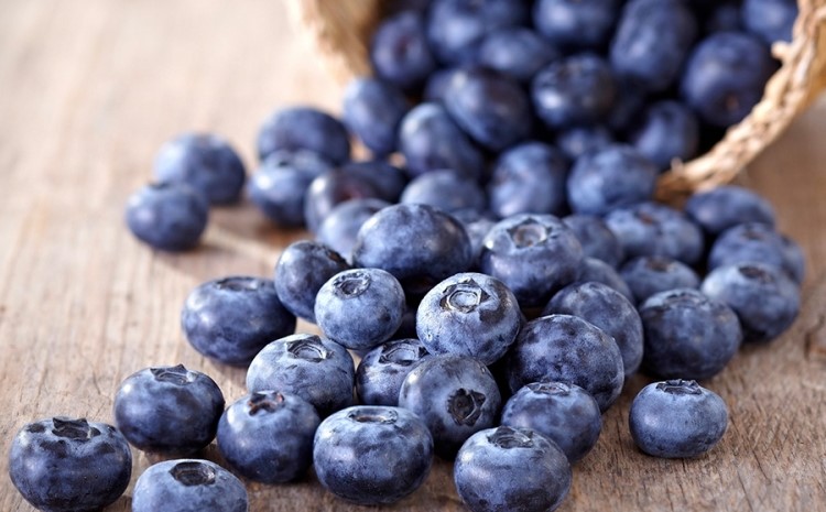 Blueberry - Powder Blue - Guildford Garden Centre