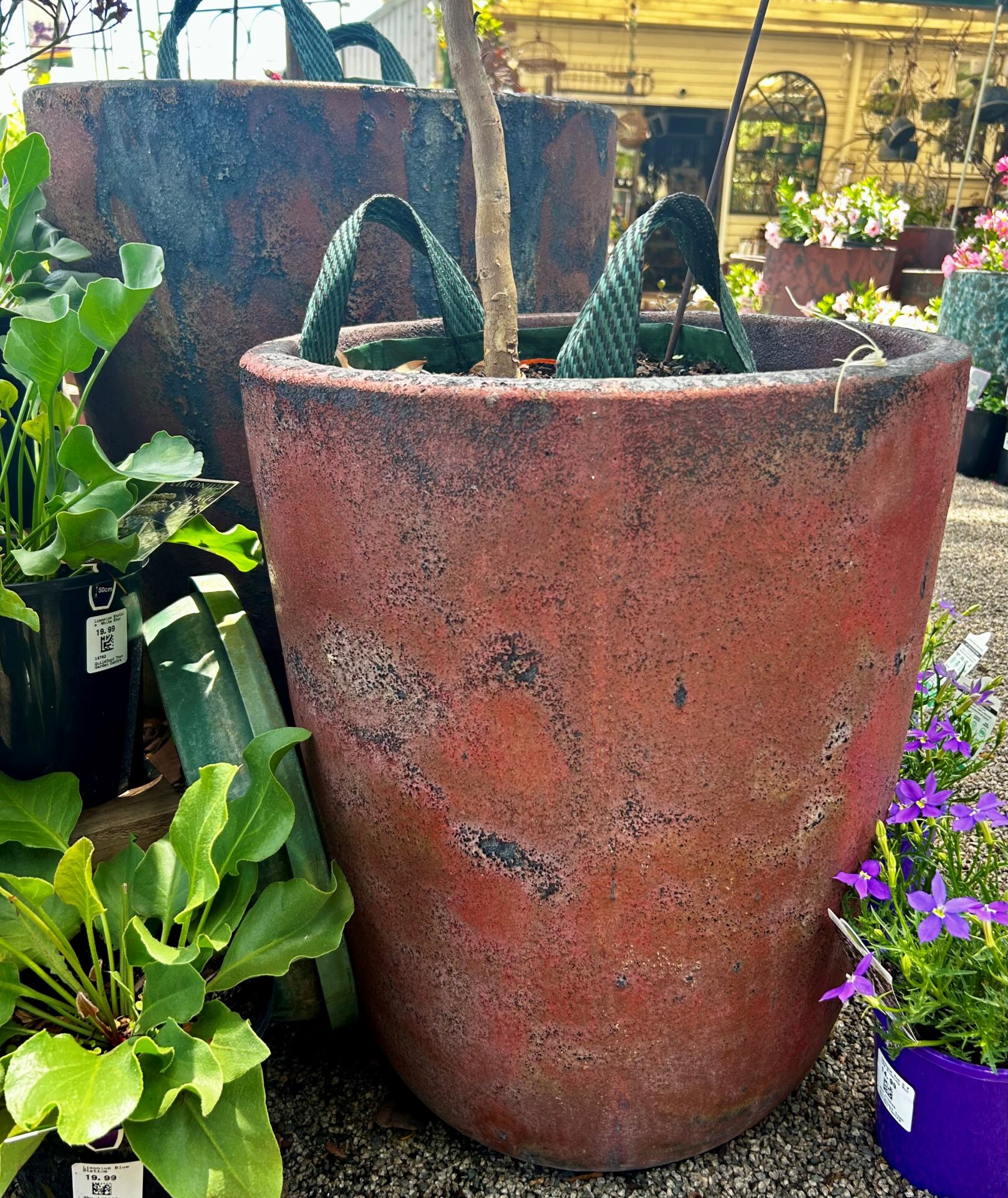 Pot - Rhia U Pot Atlantis Bronze- Ceramic - Guildford Garden Centre