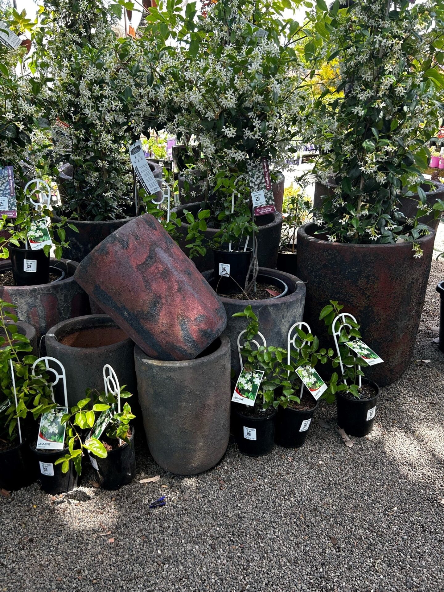 Pot - Rhia U Pot Atlantis Bronze- Ceramic - Guildford Garden Centre